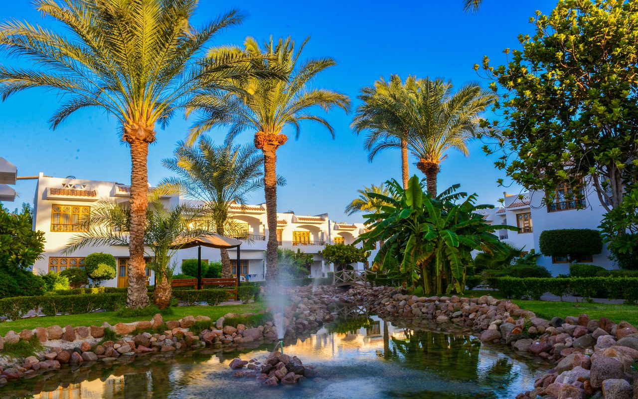 Dive Inn Resort Sharm El Sheikh Egipt zdjęcie, cena za wakacje z Join ...