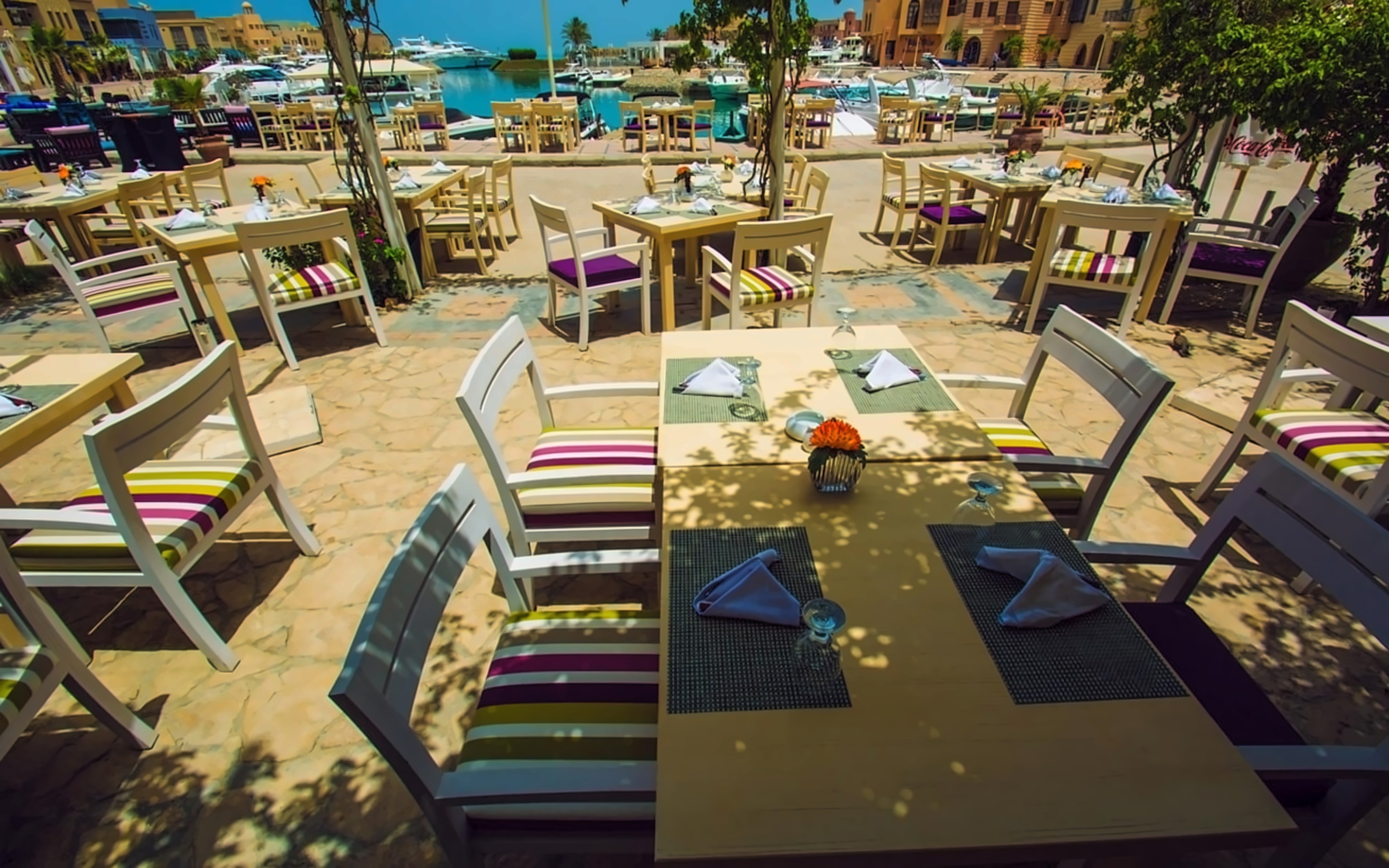 Turtle's Inn Hotel El Gouna Egipt zdjęcie, cena za wakacje z Join UP ...