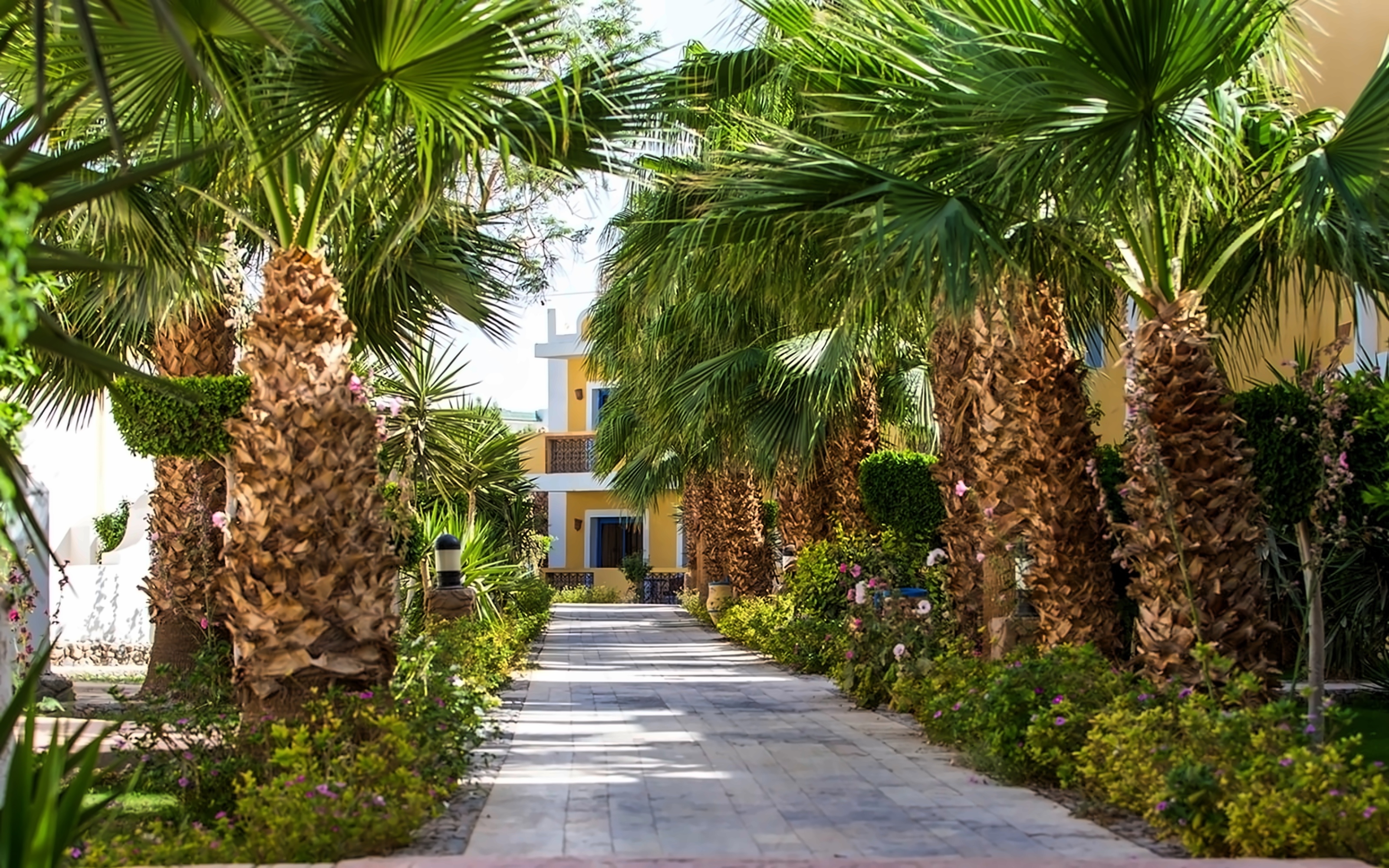 Mirage Bay Resort & Aquapark (ex. Lillyland Aqua Park) Hurghada Egipt ...