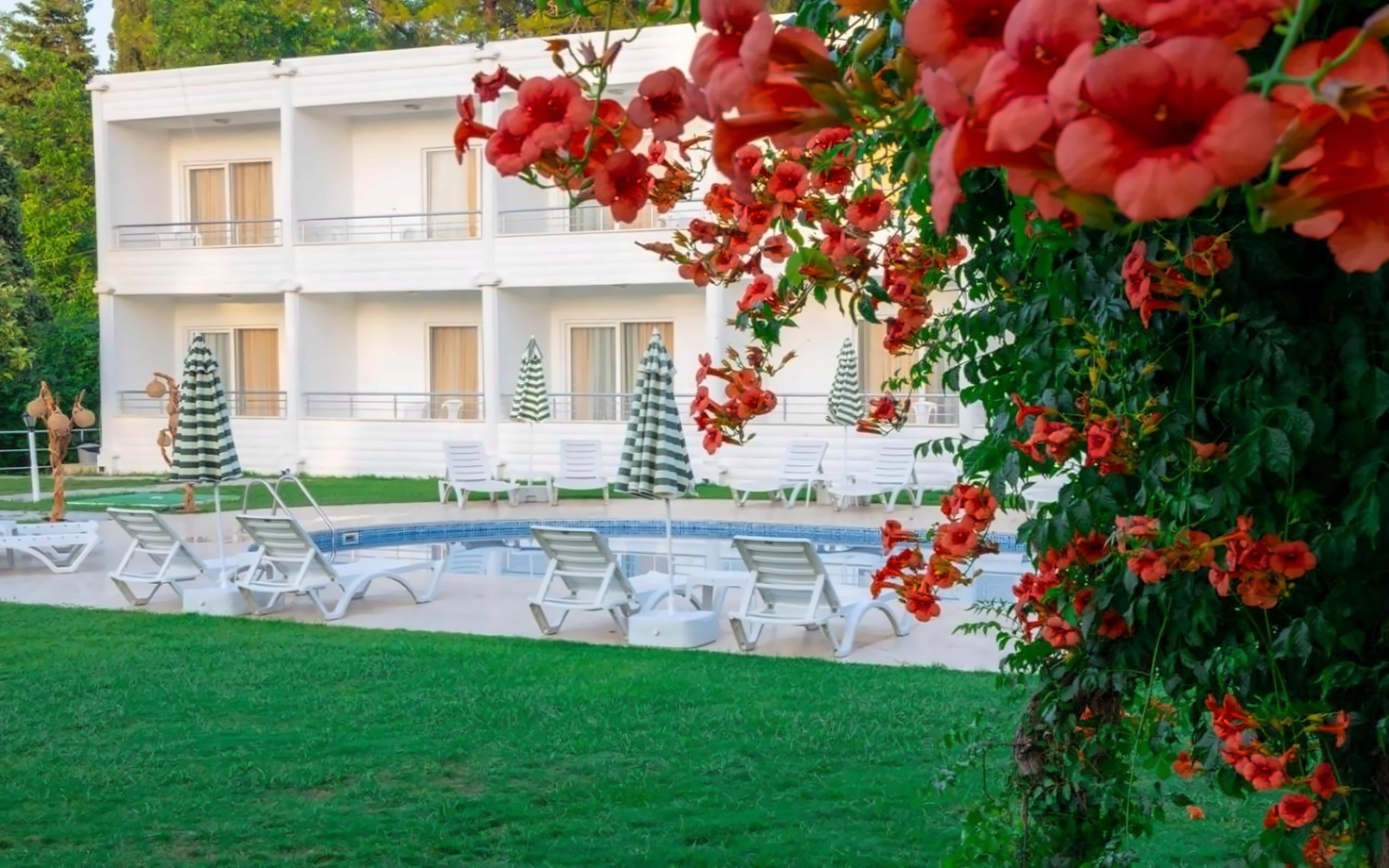 Aroma Butik Hotel Side Turcja zdjęcie, cena za wakacje z Join UP! Polska!